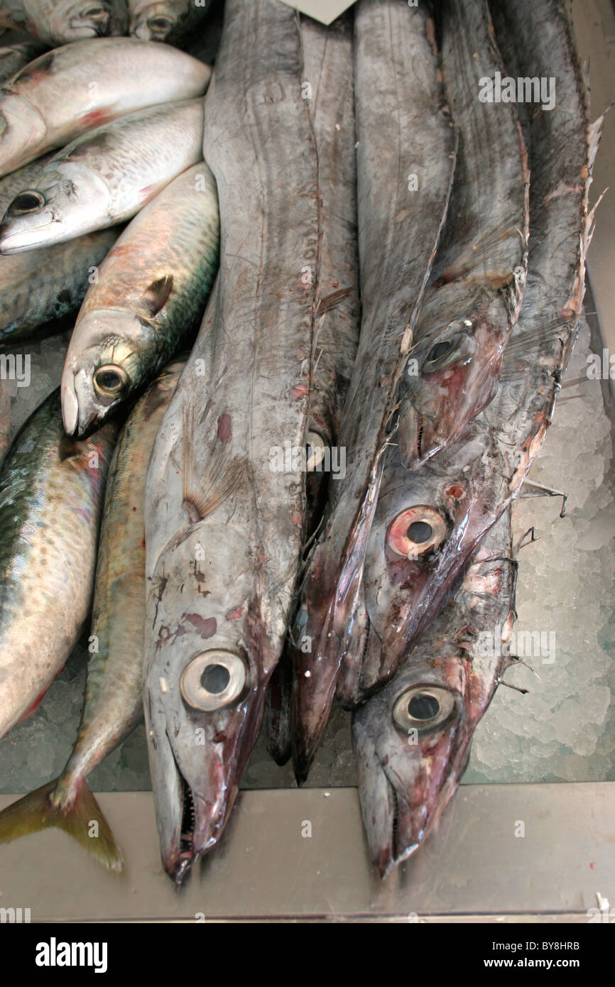 Healthy Fresh Fish High Resolution Stock Photography and Images - Alamy