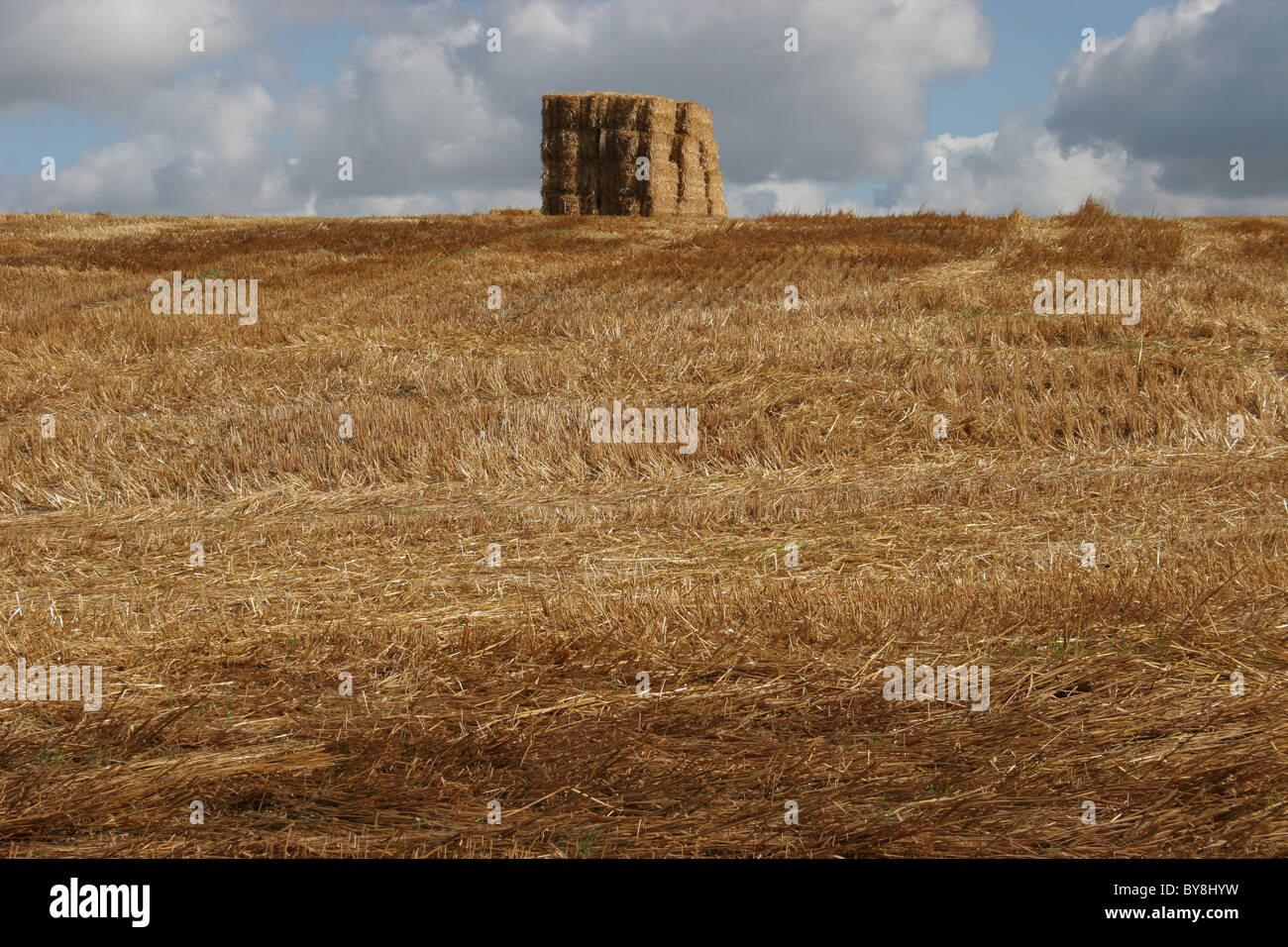 Hay grain hi-res stock photography and images - Alamy