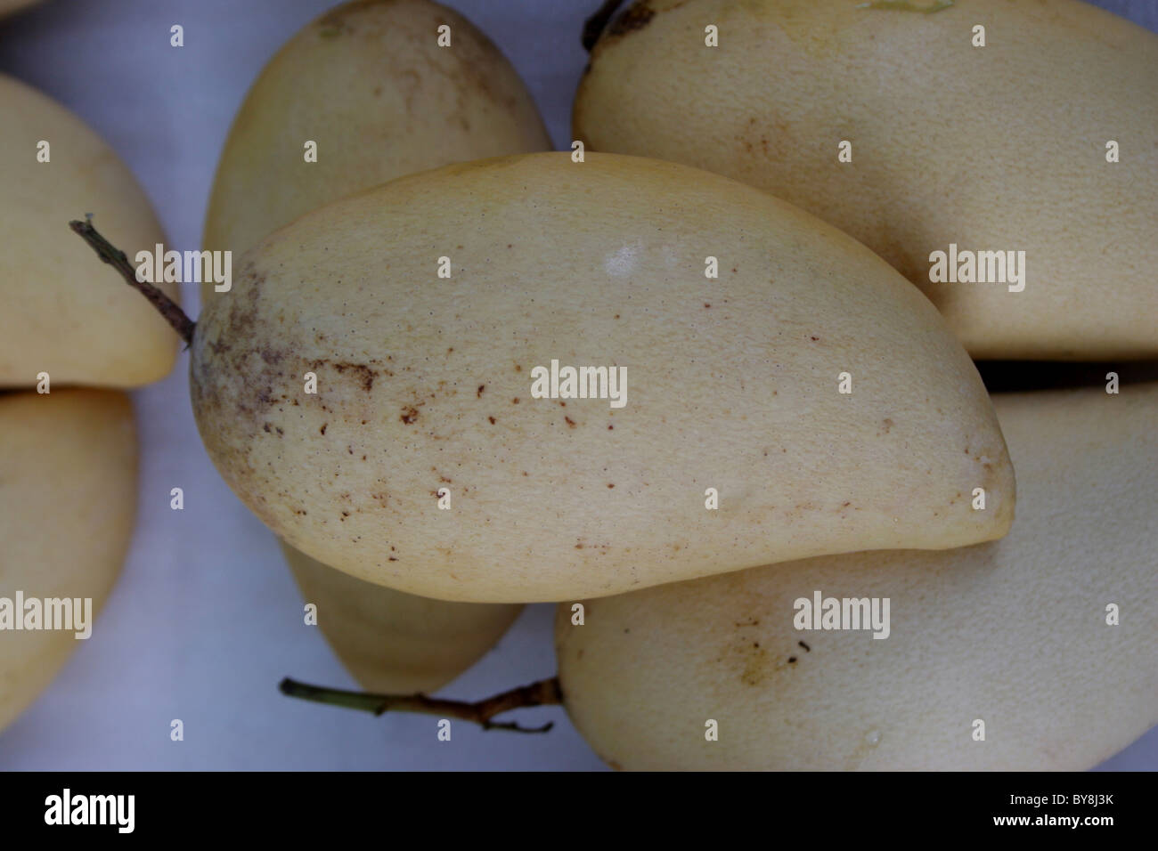 Asian pear fruit hi-res stock photography and images - Alamy