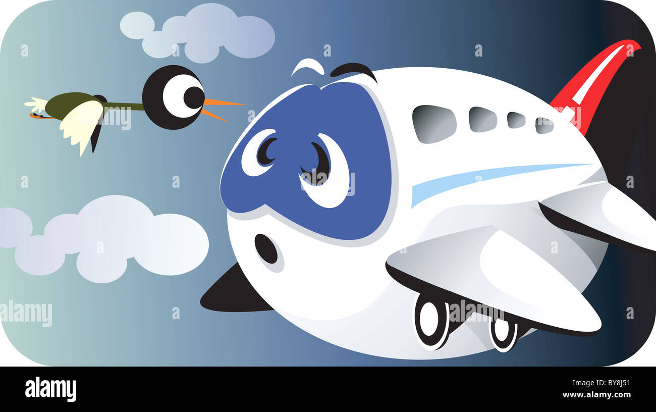 Aeroplane and bird Stock Photo - Alamy