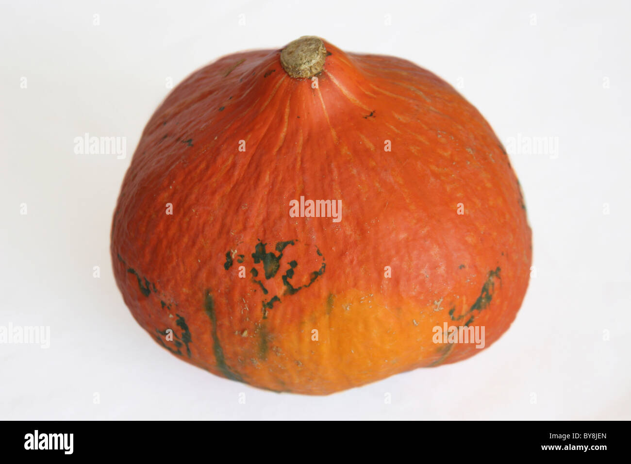 Pumpkin photos hi-res stock photography and images - Alamy