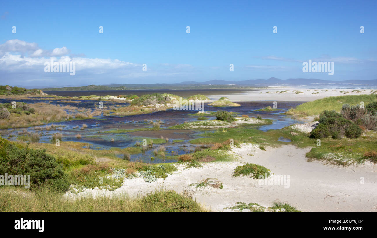 Hermanus Lagoon, Western Cape, South Africa Stock Photo - Alamy