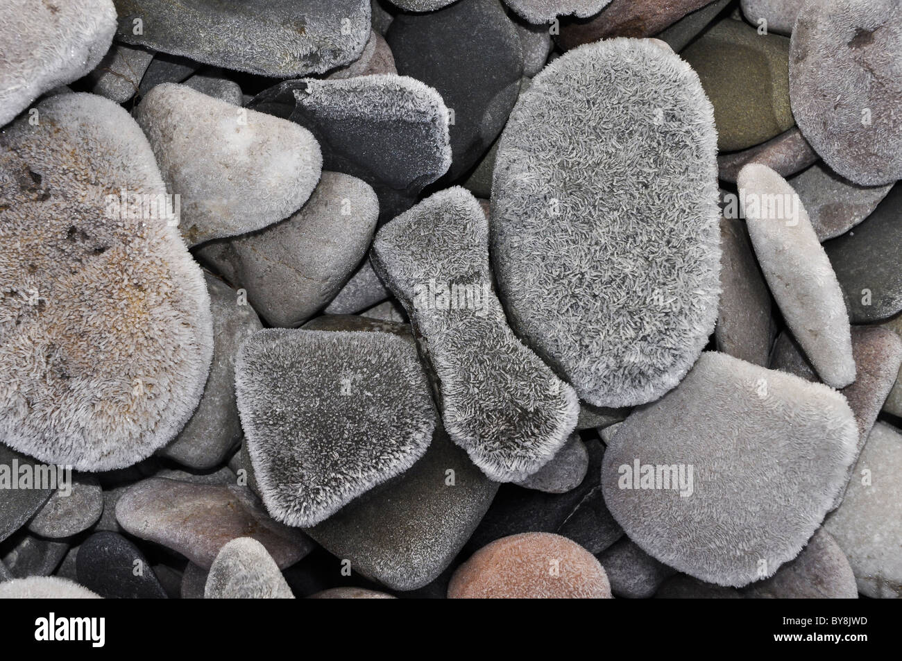 Frost coated beach pebbles Stock Photo - Alamy