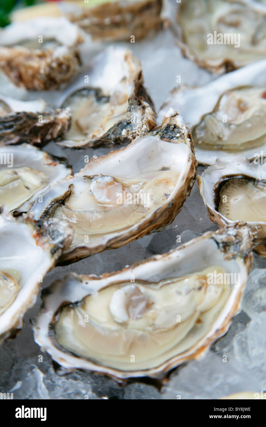Oysters, their shells Stock Photo - Alamy