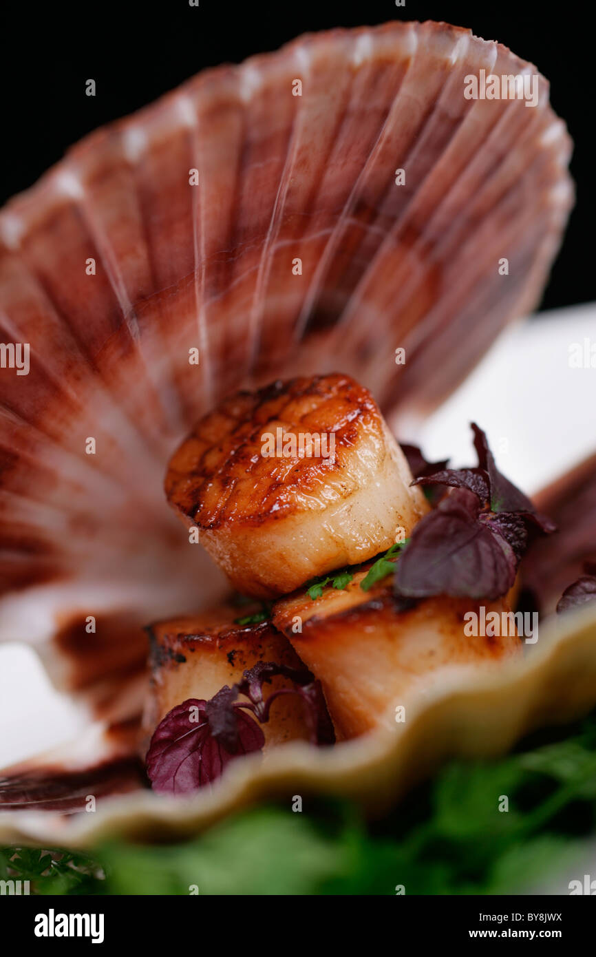 Scallops cooked, shell Stock Photo - Alamy