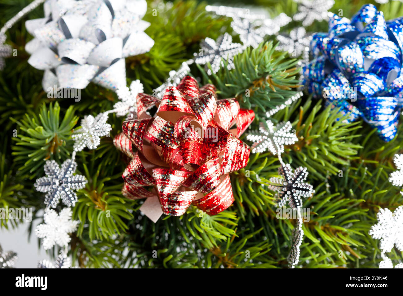 branch of Christmas tree with bow Stock Photo - Alamy