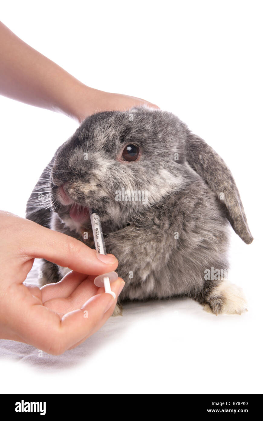 Antibiotics uk aid hi-res stock photography and images - Alamy