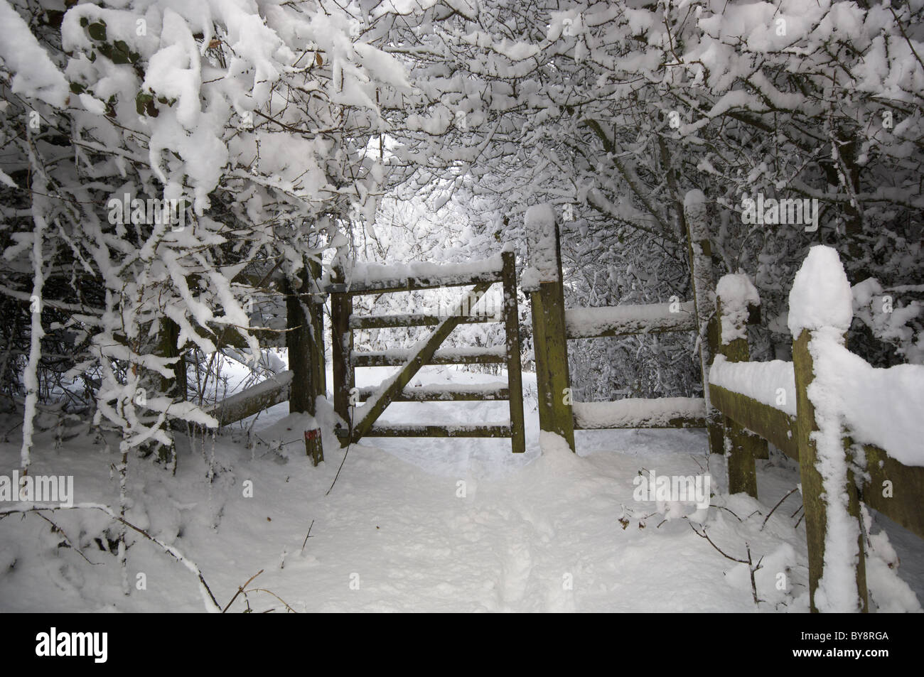 Snowy gate, Dorset UK Stock Photo - Alamy