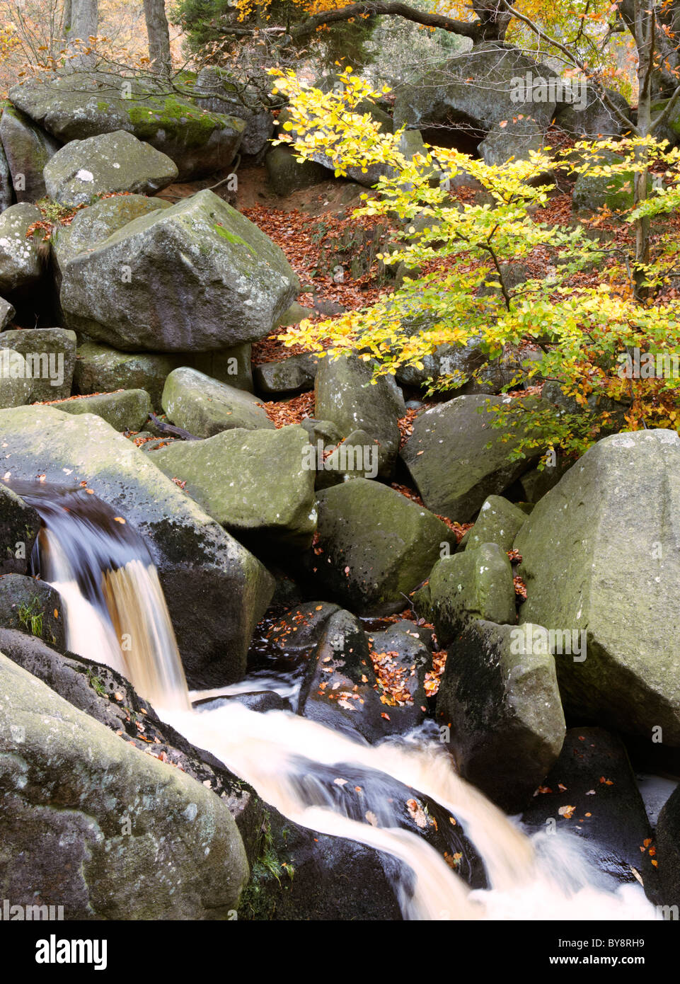 Padley gorge walk hi-res stock photography and images - Alamy