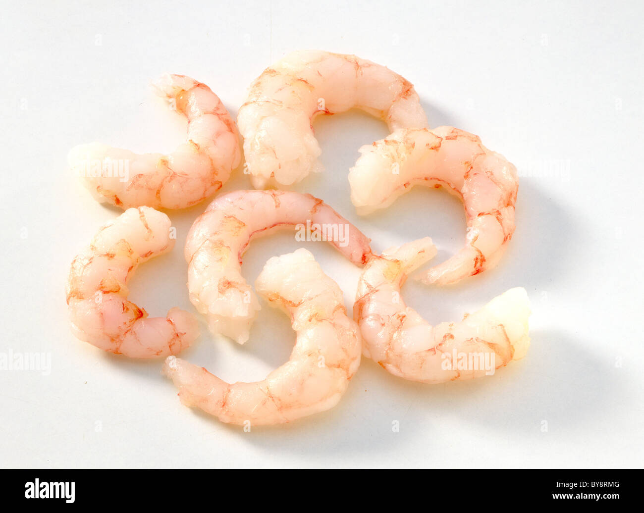 Seven Pink Prawns Stock Photo - Alamy