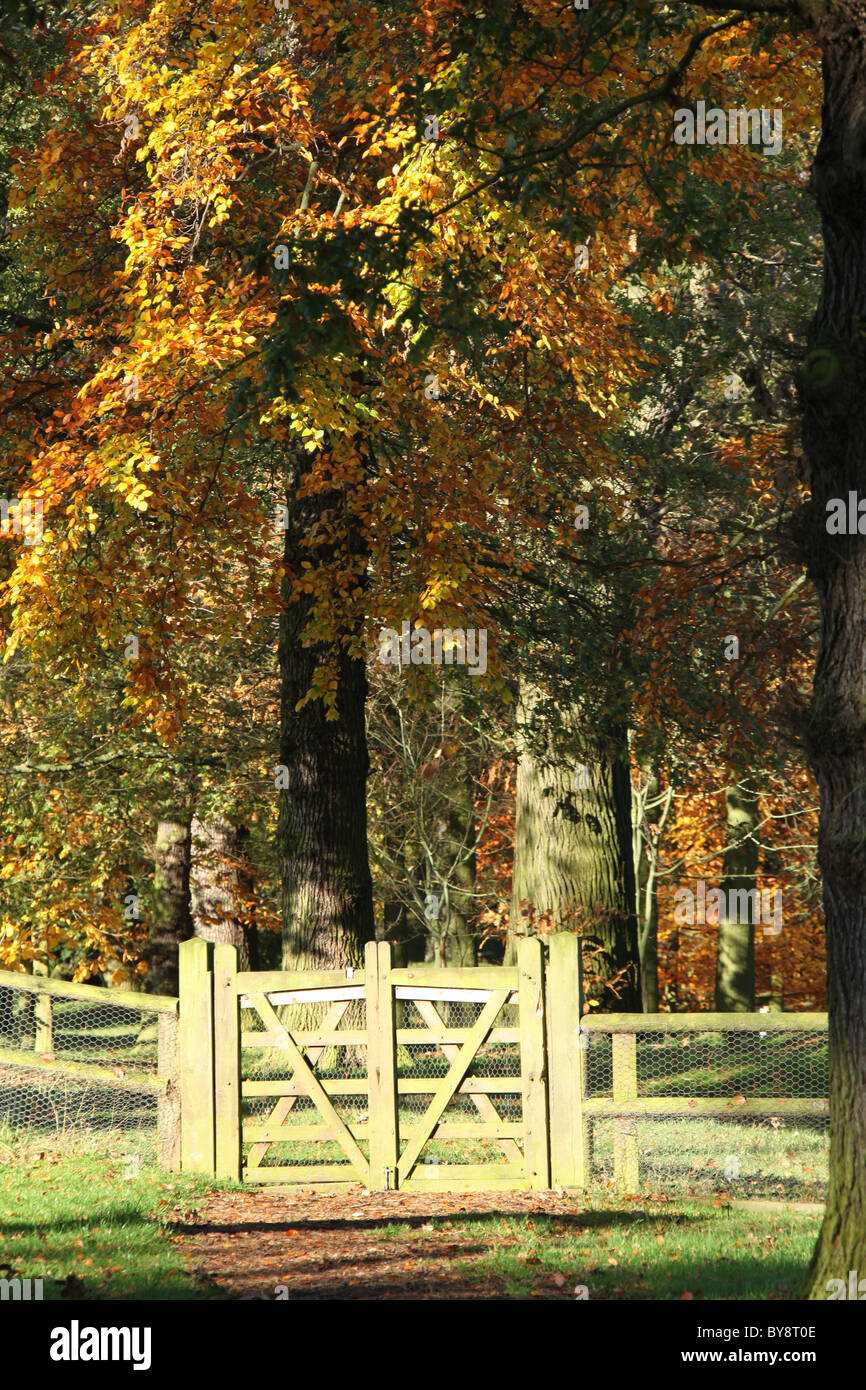 Hall gate park hi-res stock photography and images - Alamy