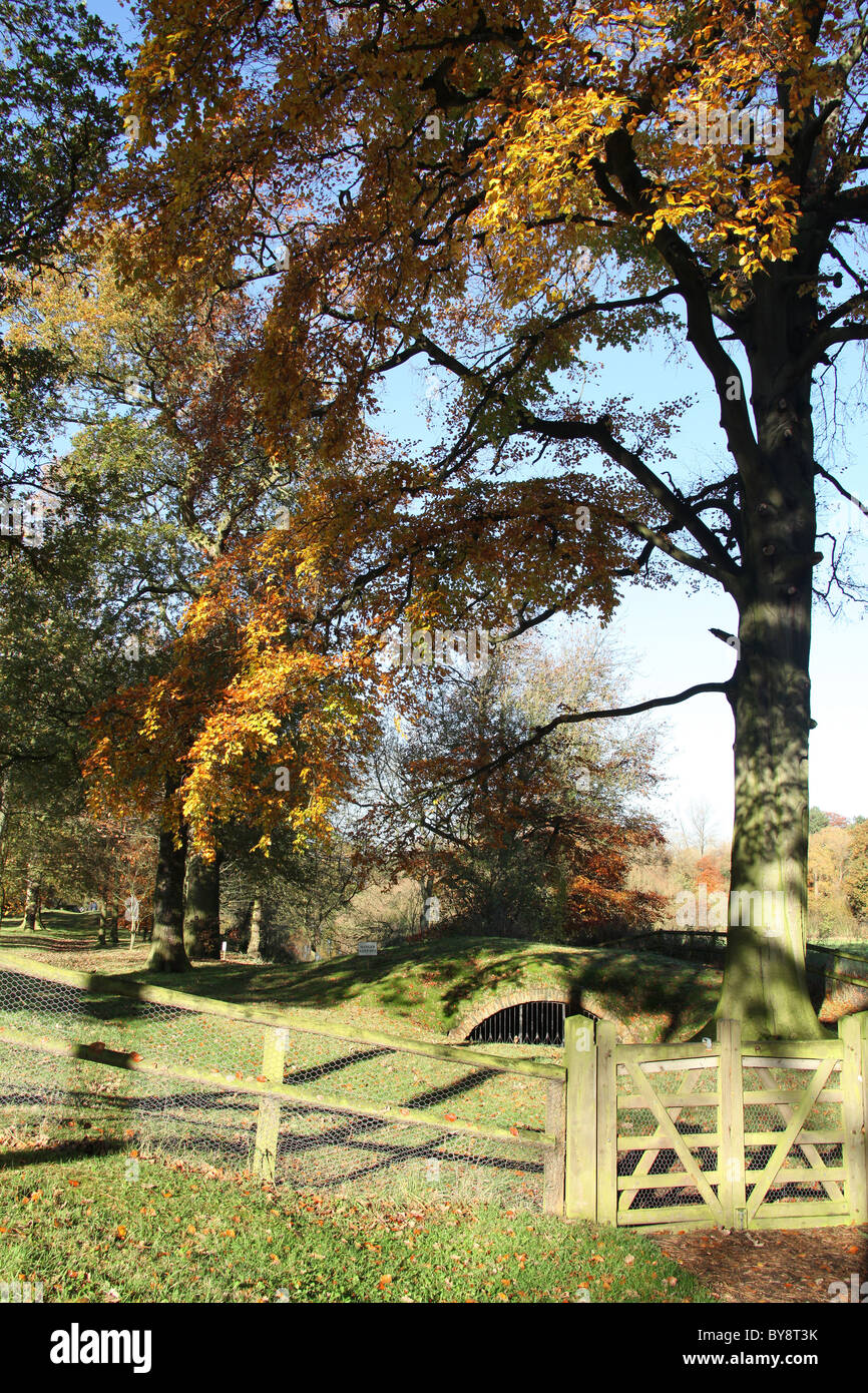 Gate country park woods hi-res stock photography and images - Alamy