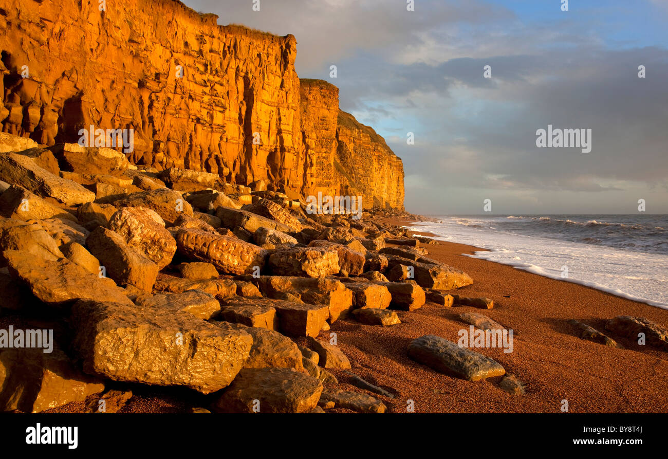 Dorset jurassic coast fossil hi-res stock photography and images - Alamy