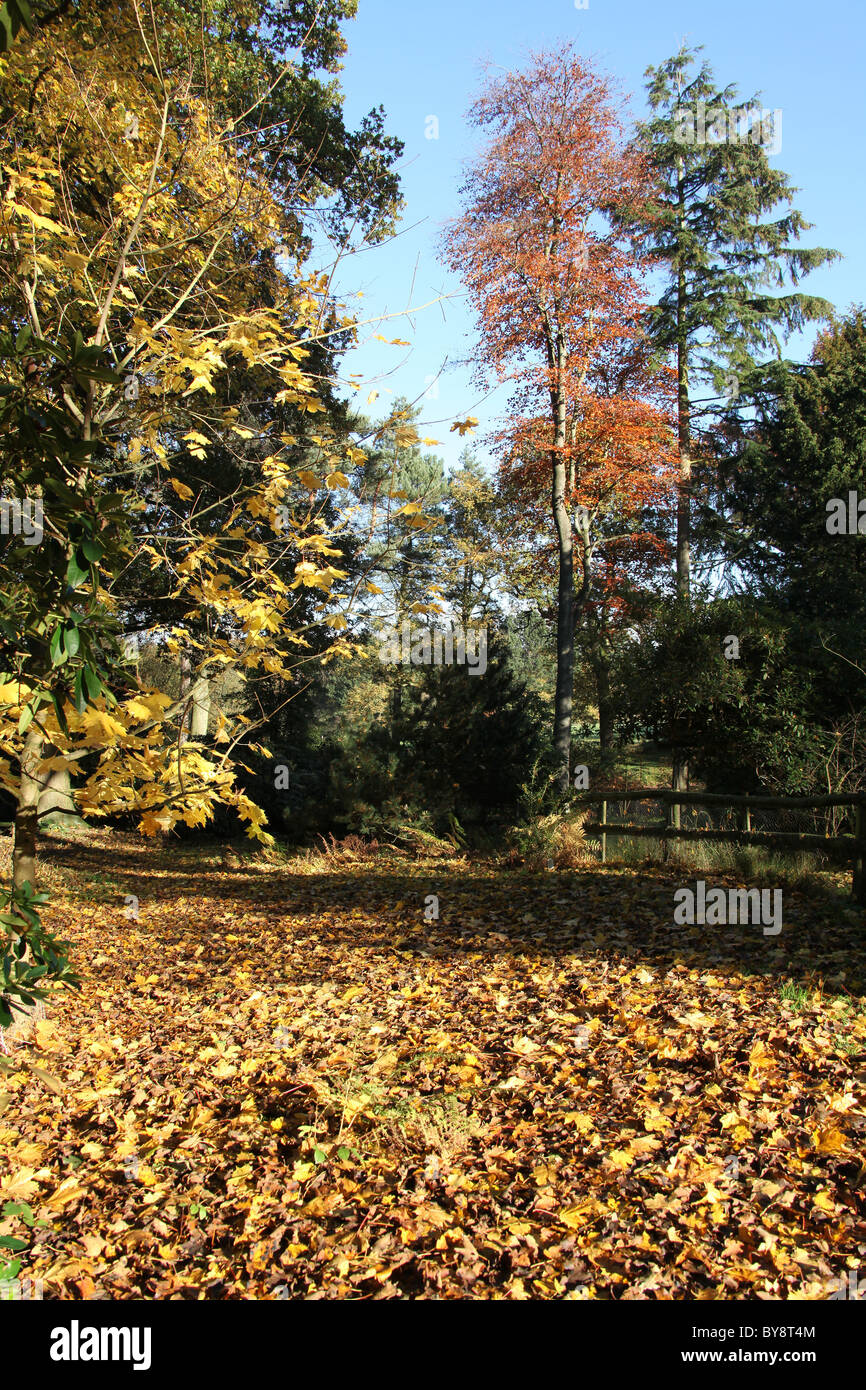 Rode Hall Country House And Gardens High Resolution Stock Photography ...