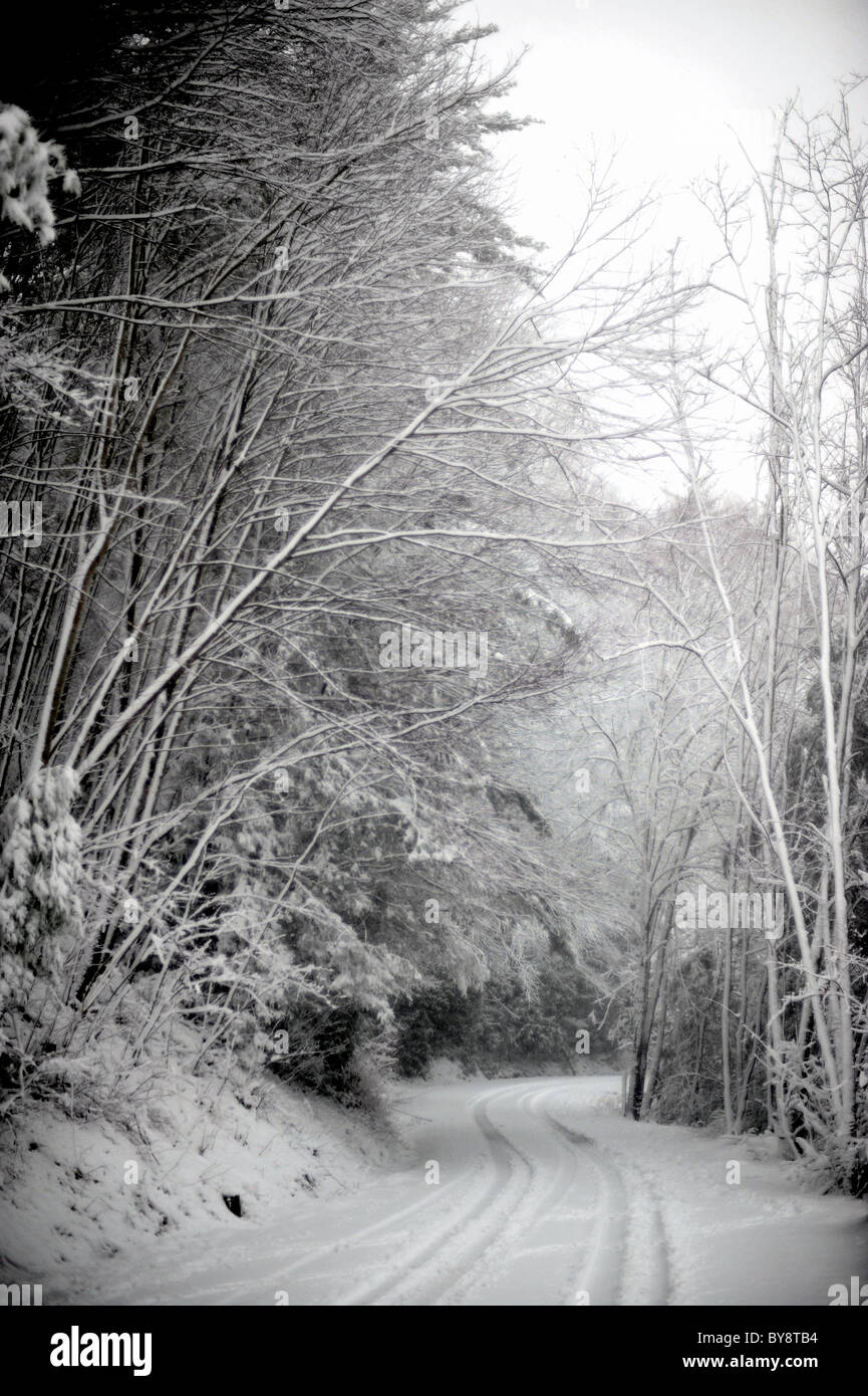A bend in the road in Boone, North Carolina during an ice storm Stock ...
