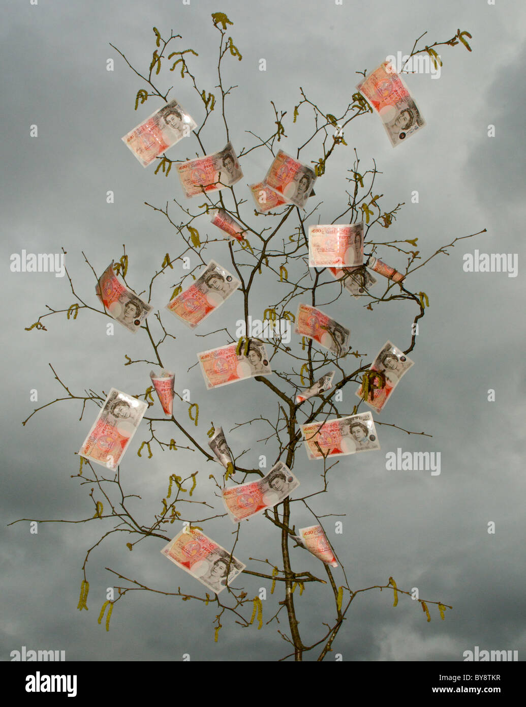 Money grows on trees hi-res stock photography and images - Alamy