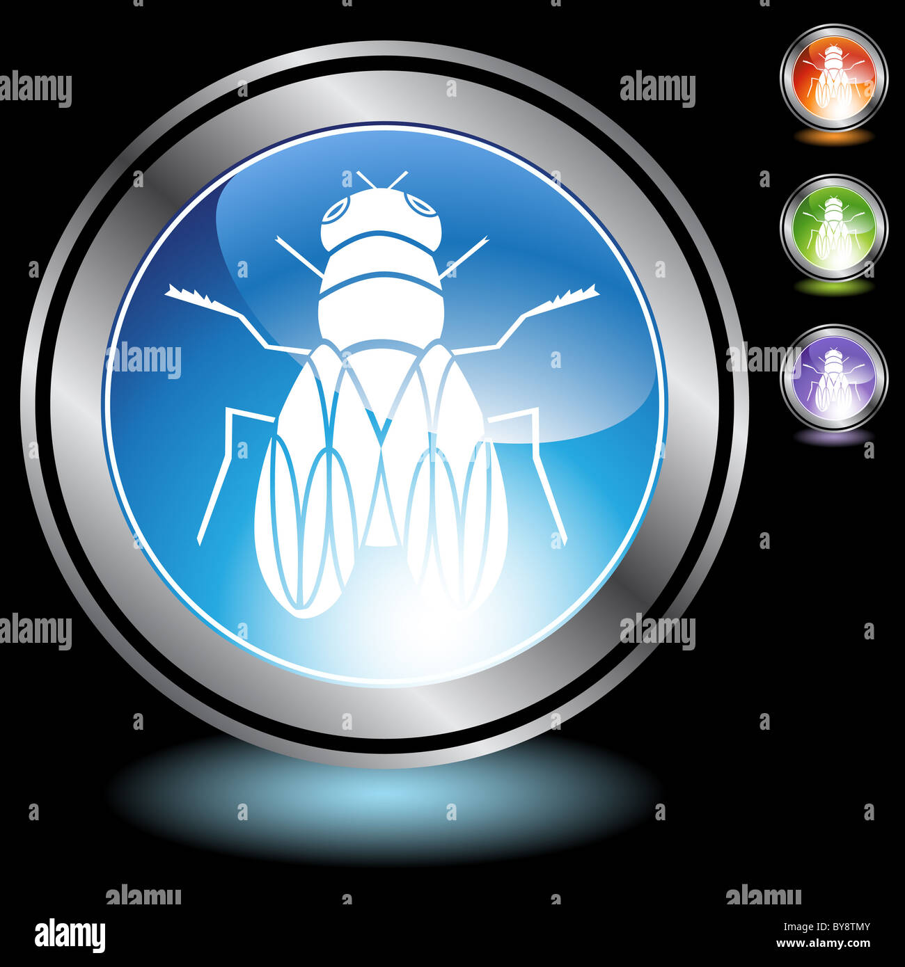 An image of a fly Stock Photo - Alamy