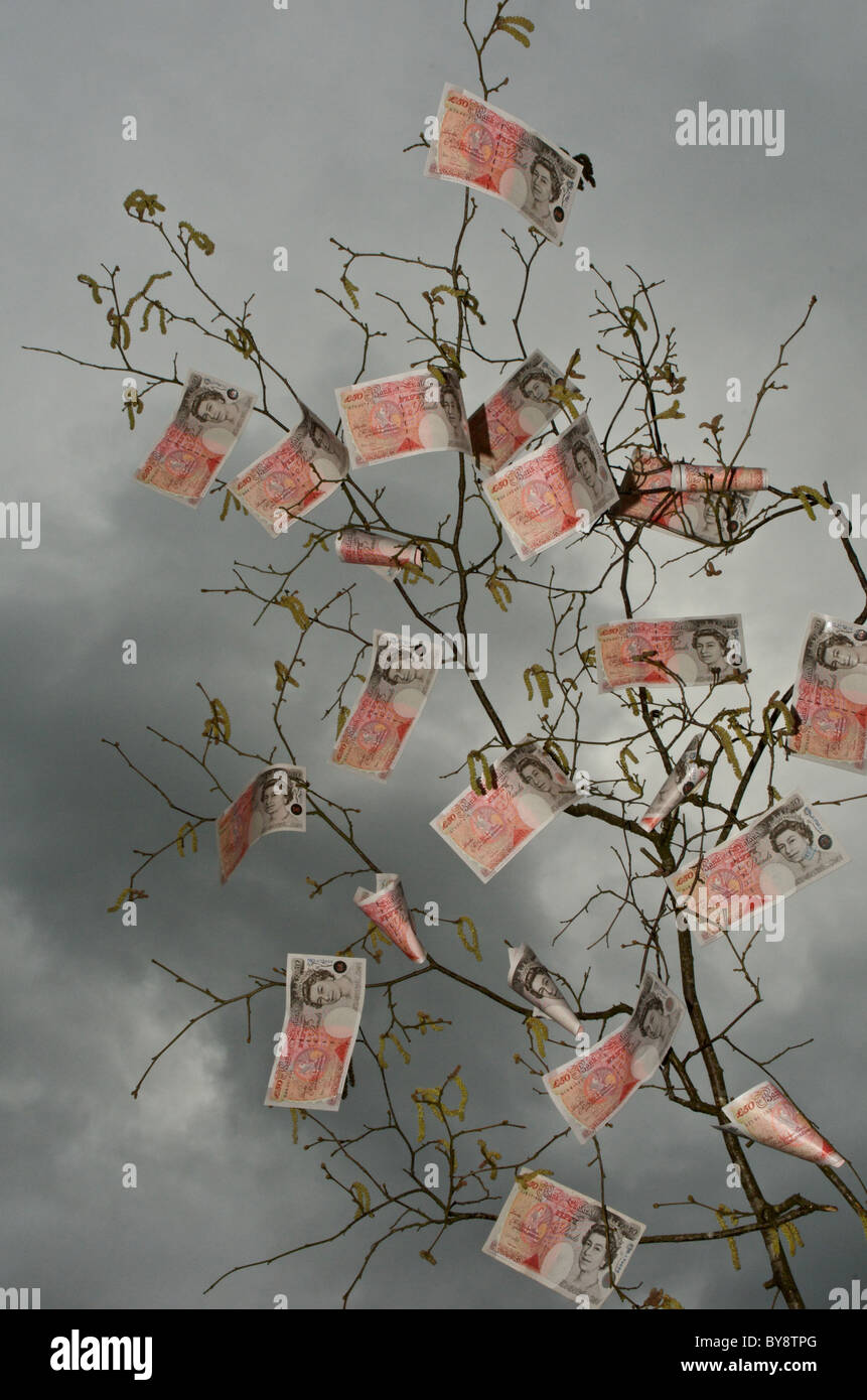 Money grows on trees hi-res stock photography and images - Alamy