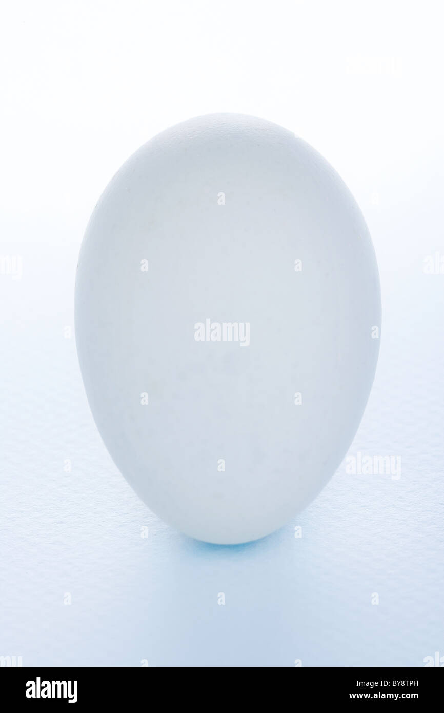 Blue hens eggs hi-res stock photography and images - Alamy