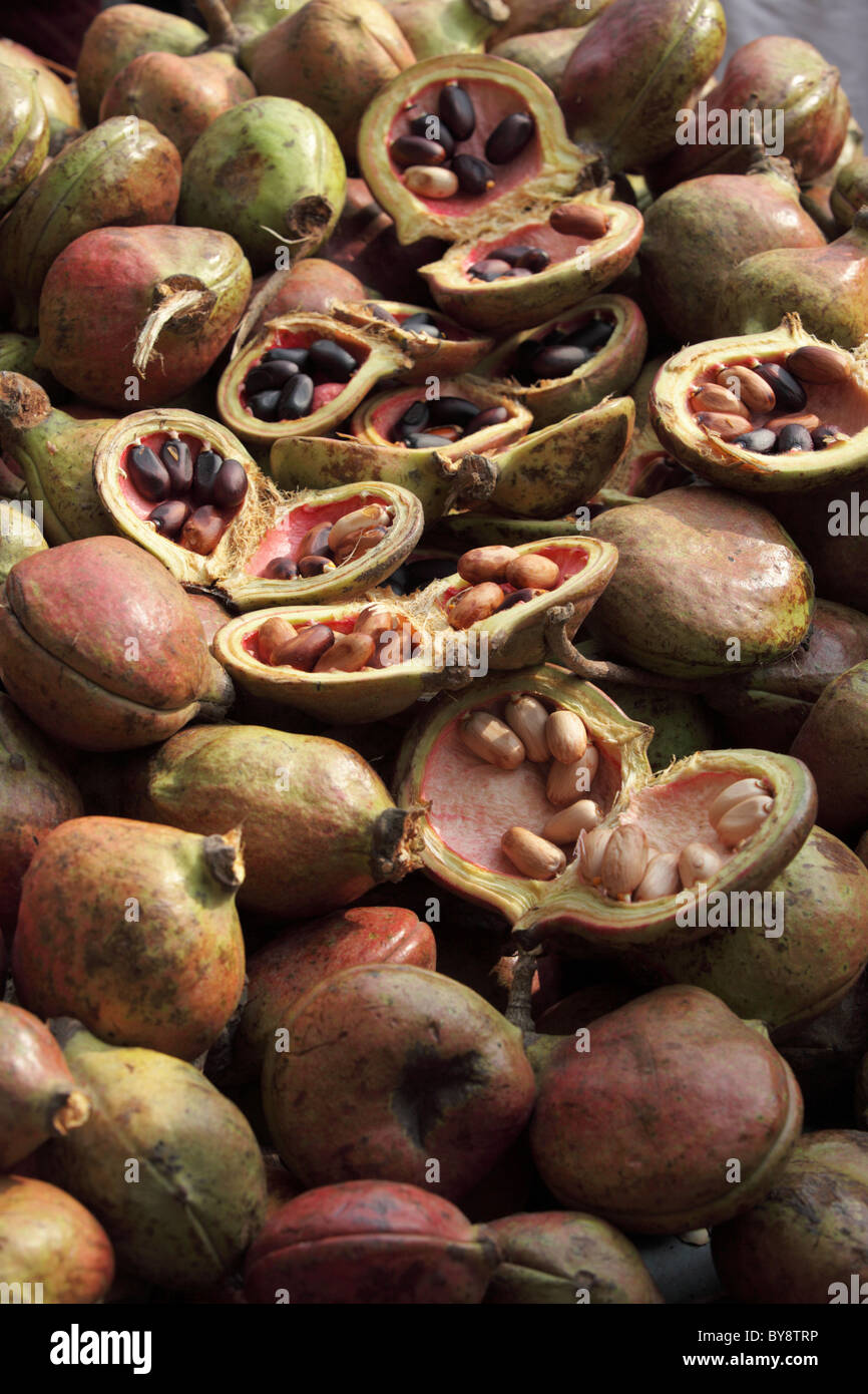 Badam nuts in Bangladesh Asia Stock Photo - Alamy
