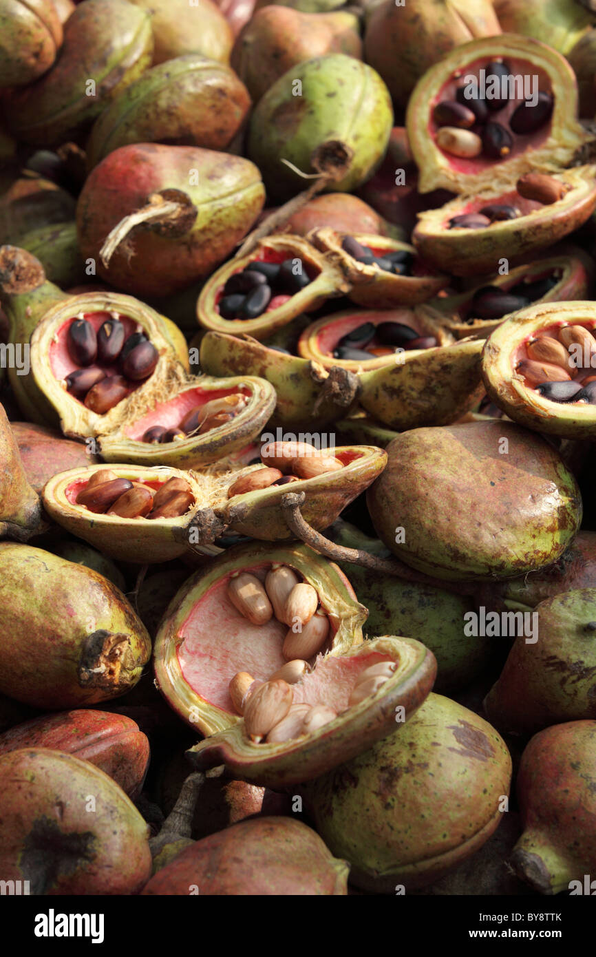 Badam nuts in Bangladesh Asia Stock Photo - Alamy