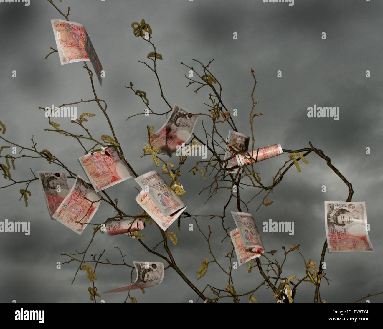 Money and trees hi-res stock photography and images - Alamy
