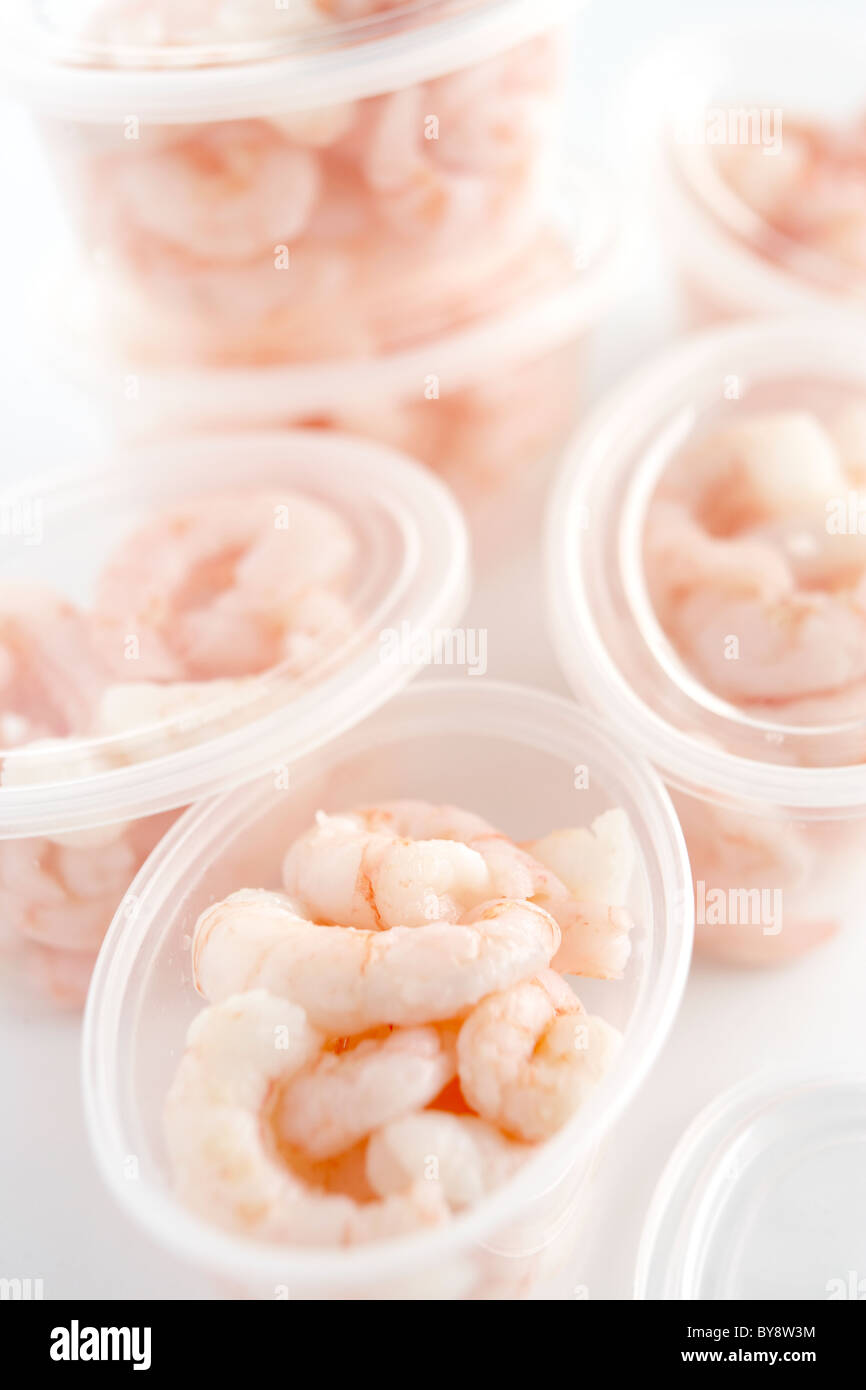 Peeled prawns in plastic containers Stock Photo - Alamy