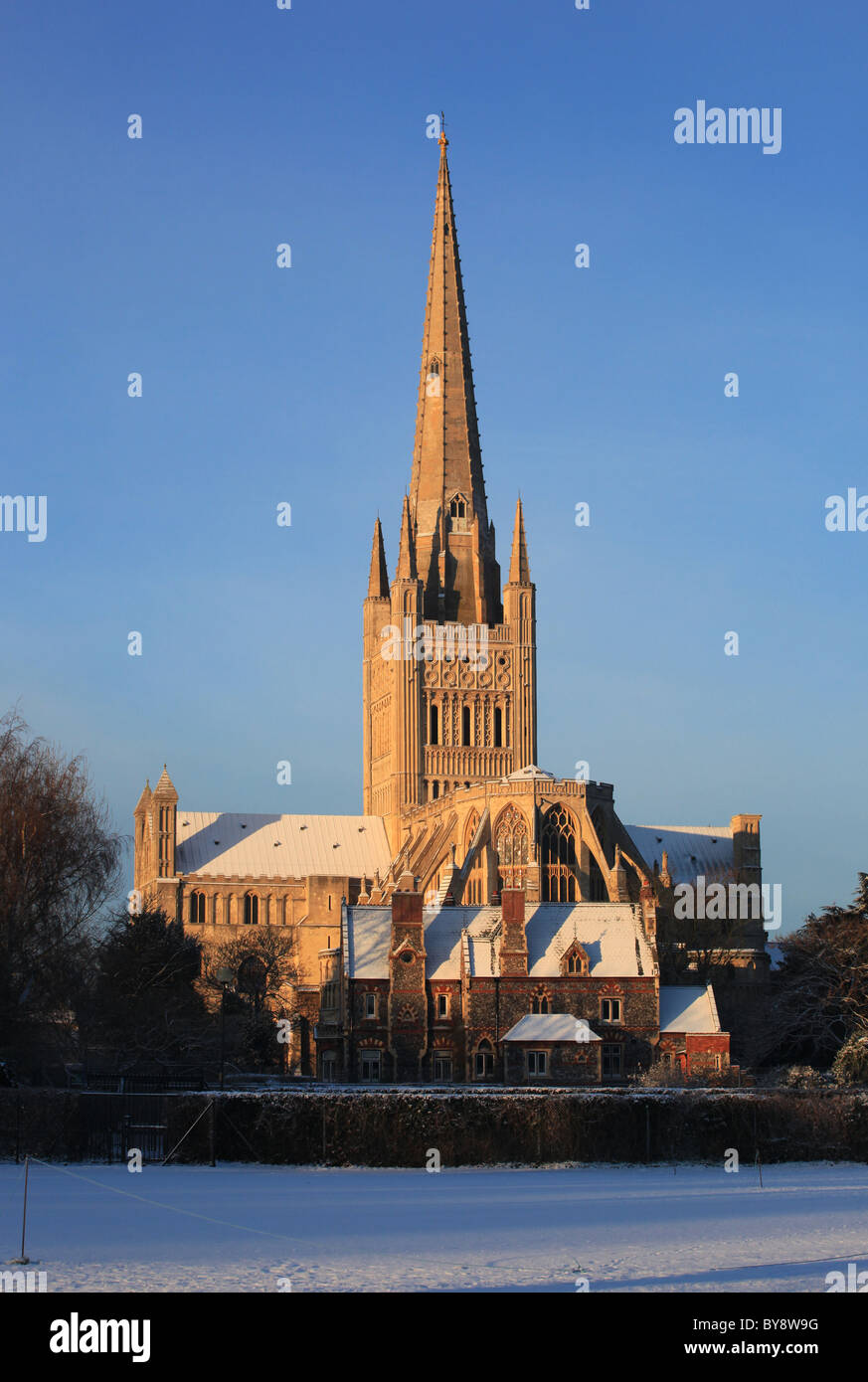 Norwich Cathedral, Cathedral Close, Norfolk Stock Photo - Alamy