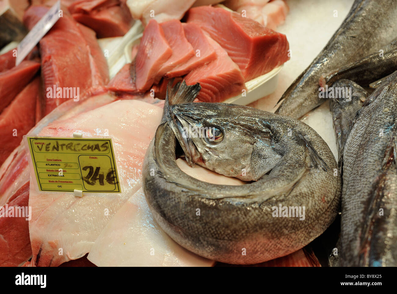 Hake fish hi-res stock photography and images - Alamy