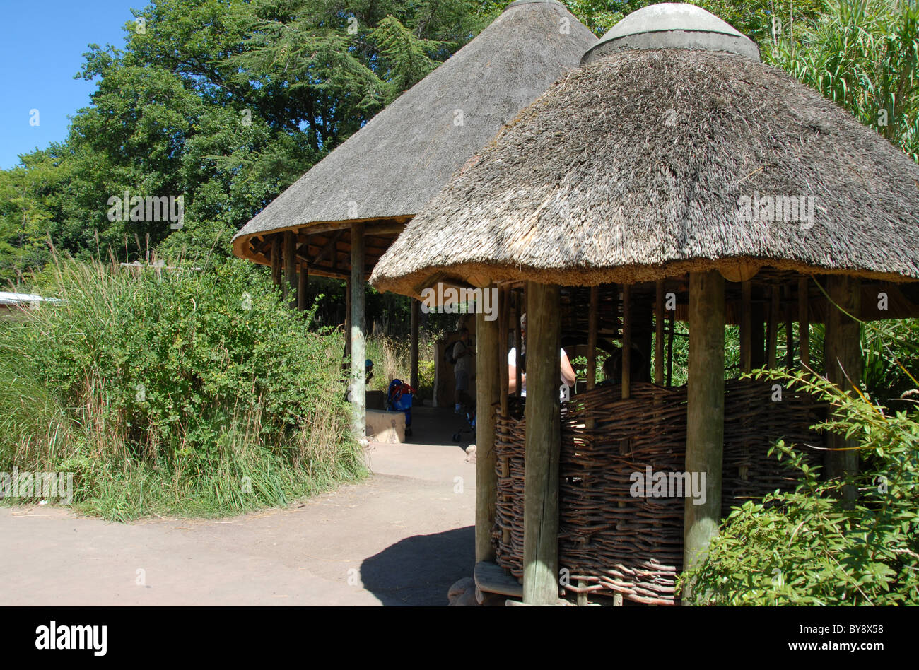 Huts at the Woodland Park Zoo in Seattle, Washington, USA. Woodland ...