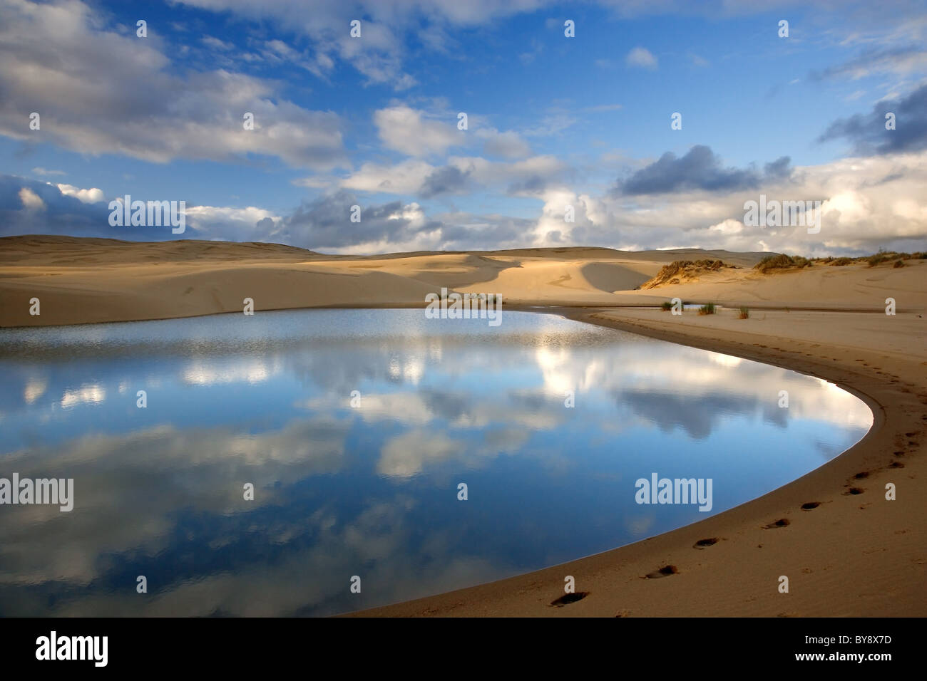 Umpqua Dunes, Siuslaw National Forest, Oregon Stock Photo - Alamy