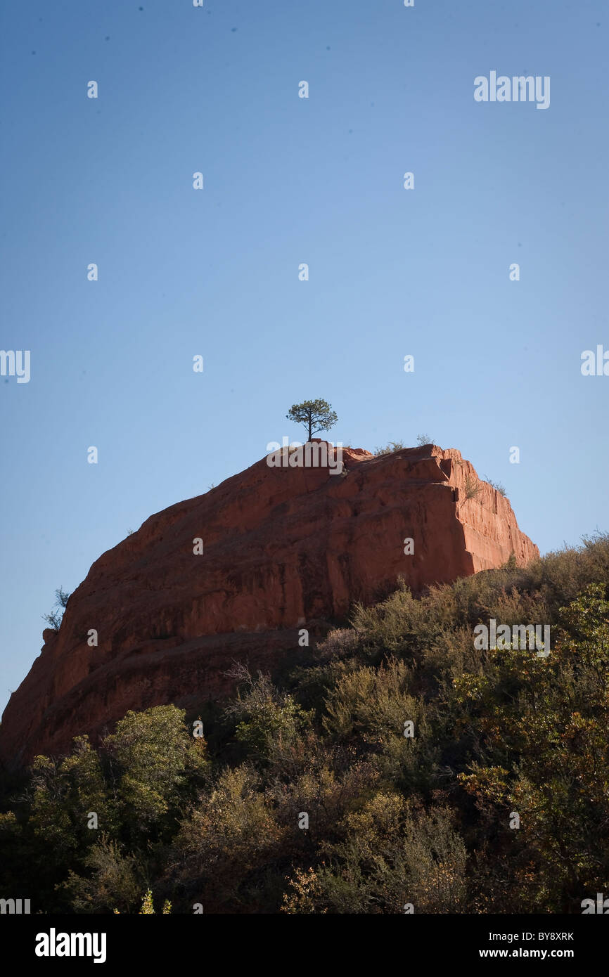one tree on rock mountain Stock Photo - Alamy