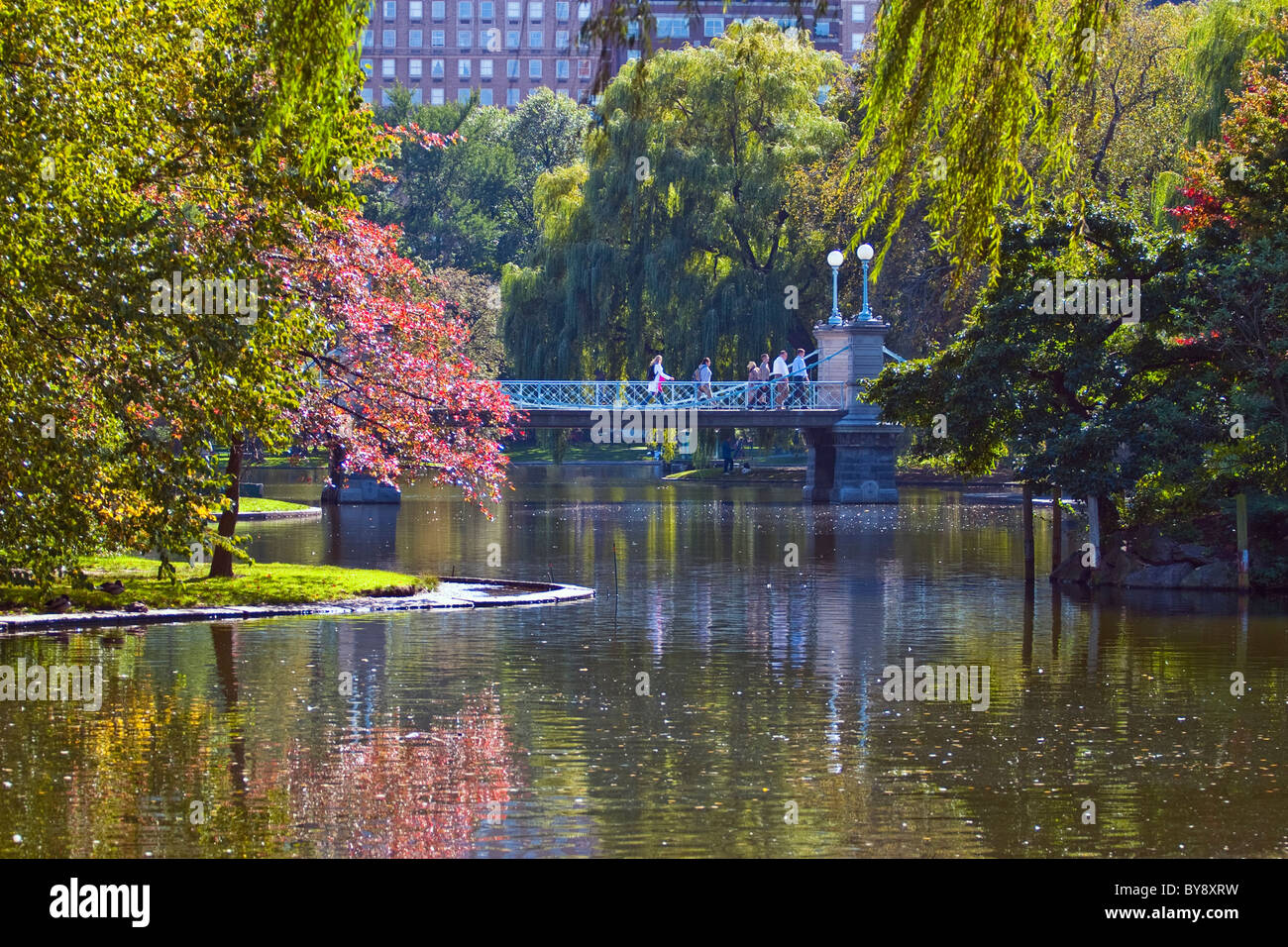 Flowering Tree in the Boston Public Garden Stock Photo - Alamy