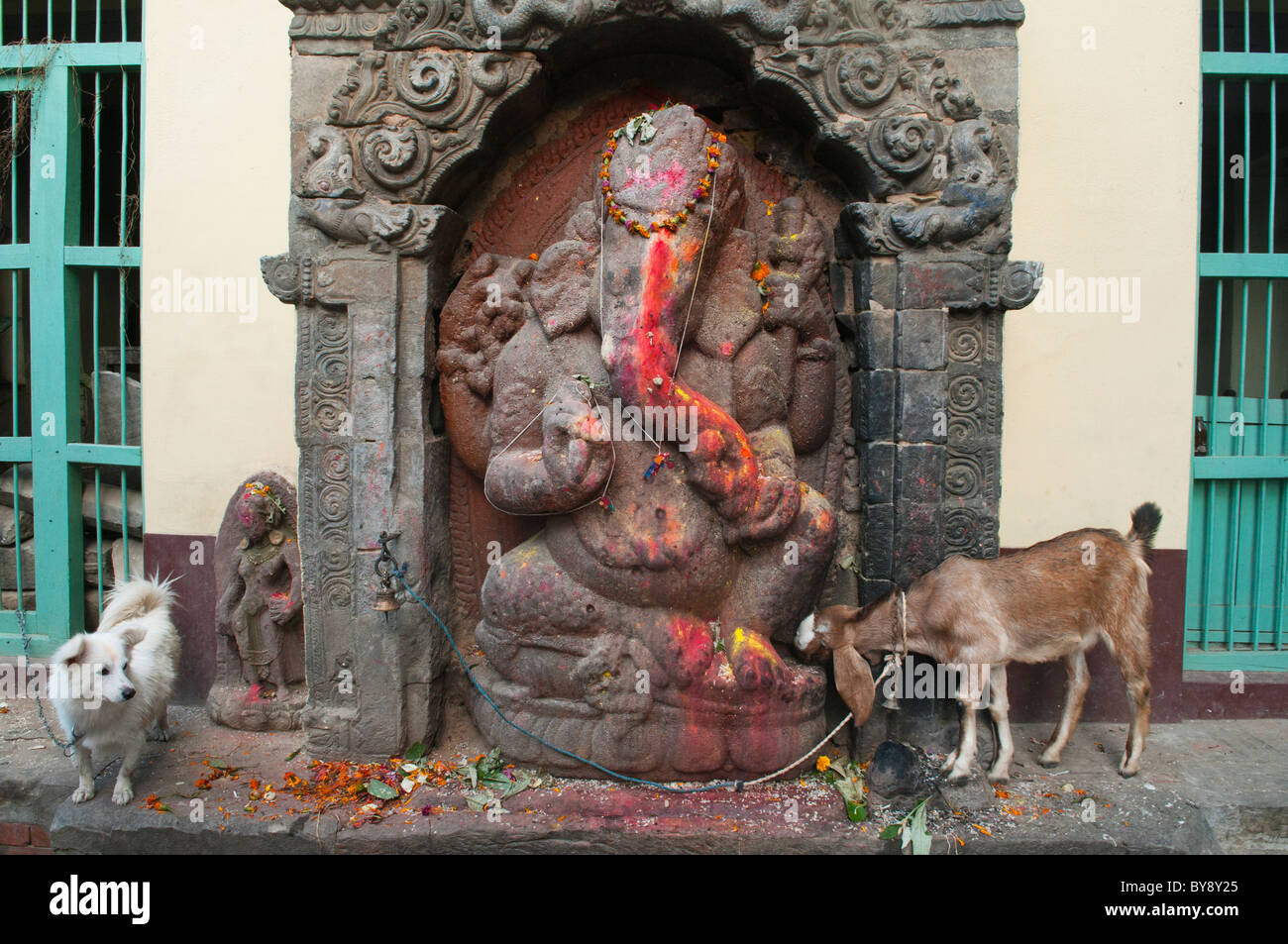 dog and goat at a Hindu shrine in Kathmandu, Nepal Stock Photo - Alamy