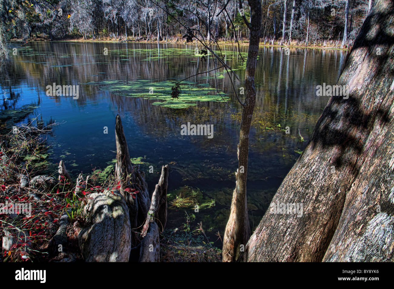 Santa Fe River Stock Photo - Alamy