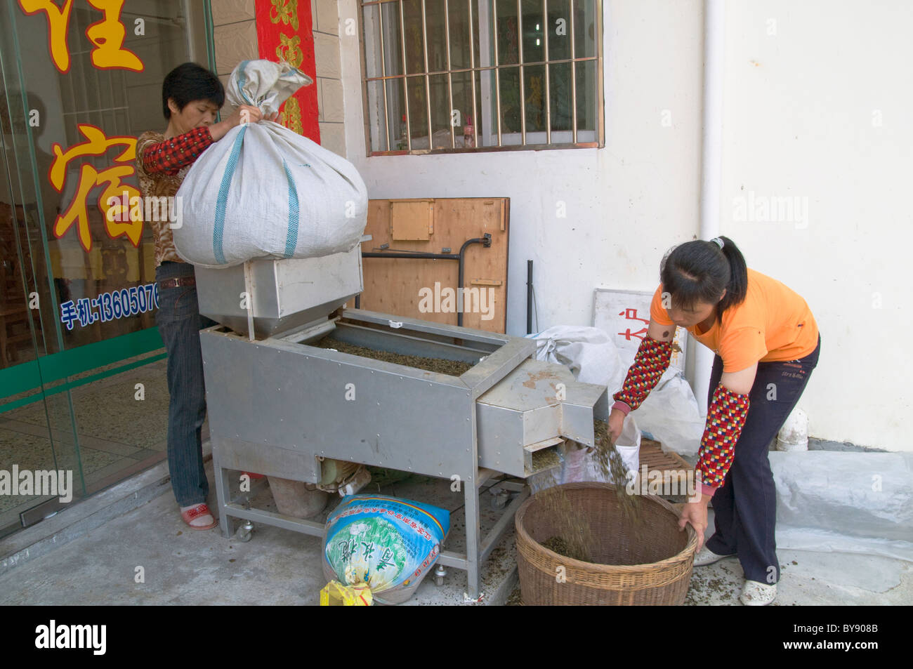 Sorting tea leaves hi-res stock photography and images - Alamy