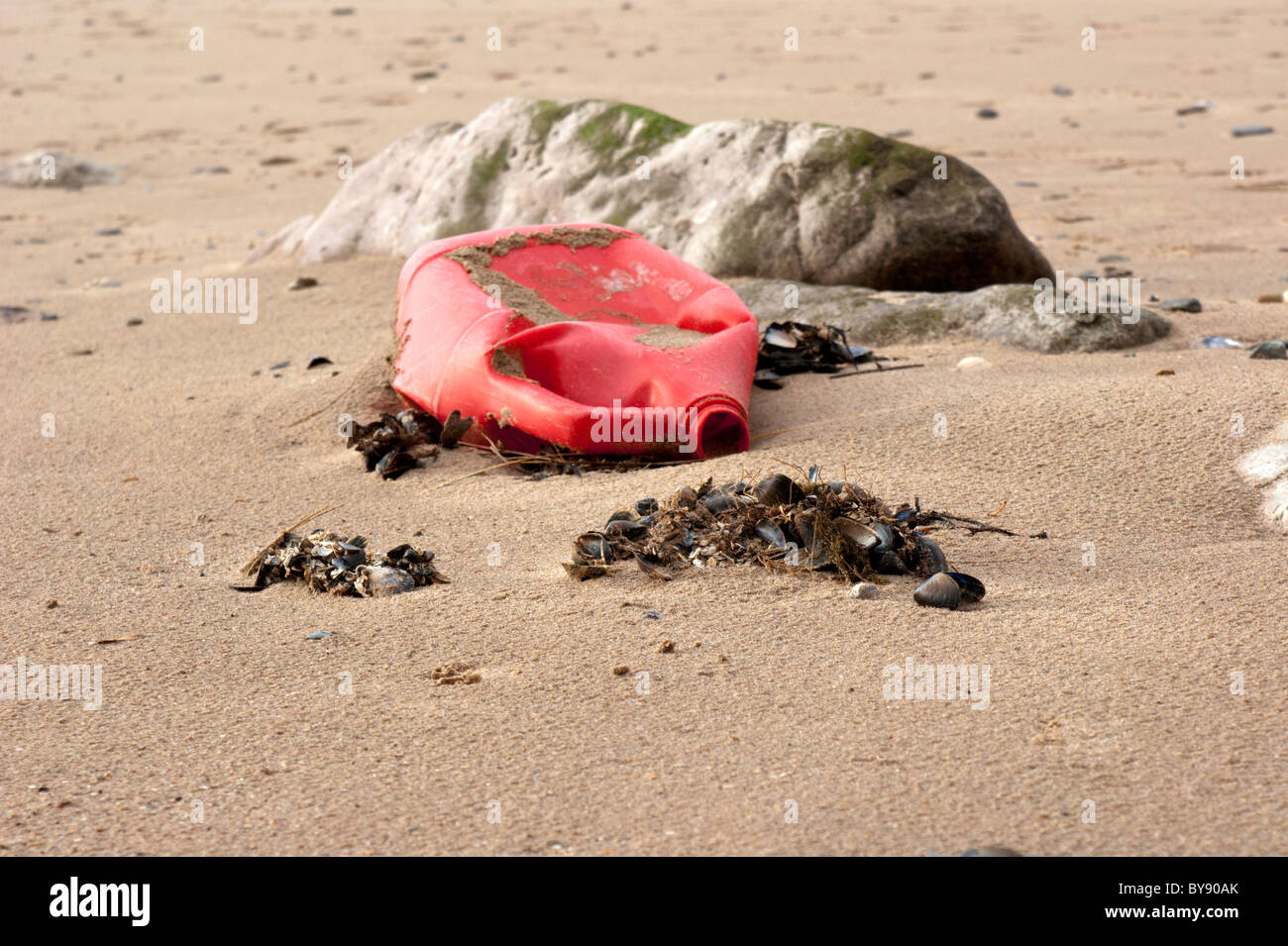 Washed up red plastic container on a beach in Conwy Wales Stock Photo ...