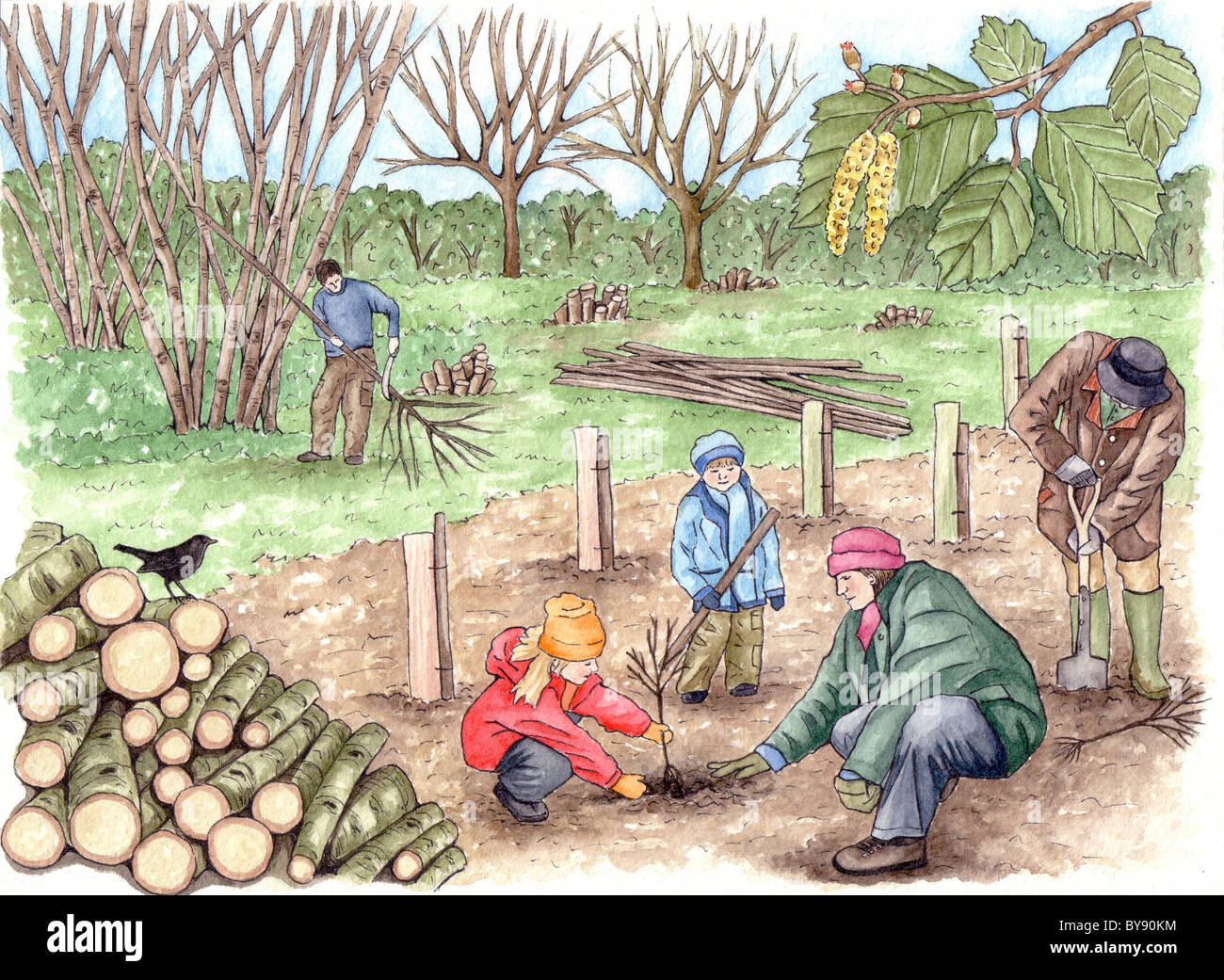 Volunteers carrying out conservation work in woodland Stock Photo - Alamy