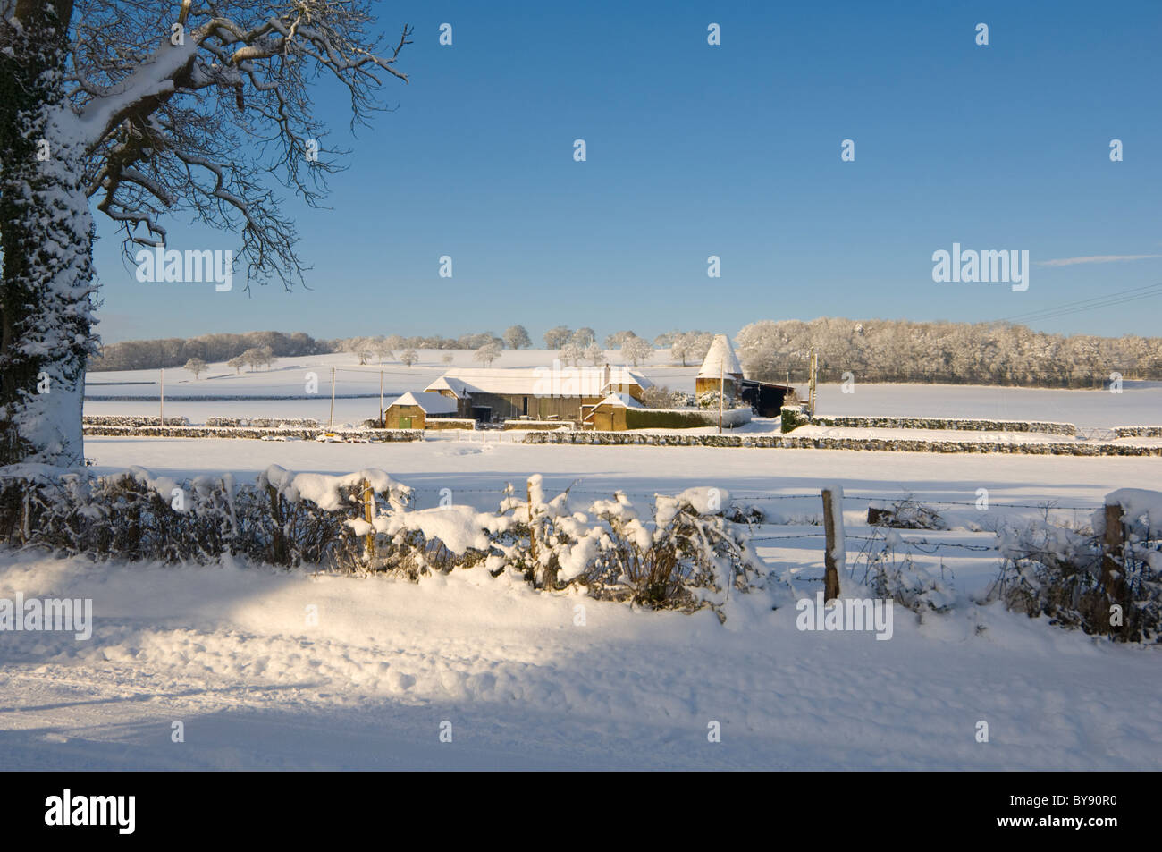 Frensham Surrey UK Stock Photo - Alamy