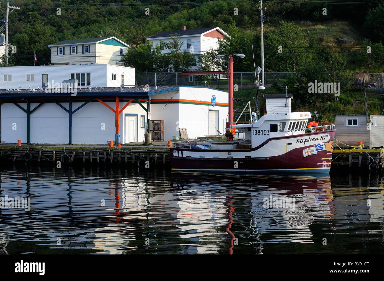 Fish processing canada hi-res stock photography and images - Alamy