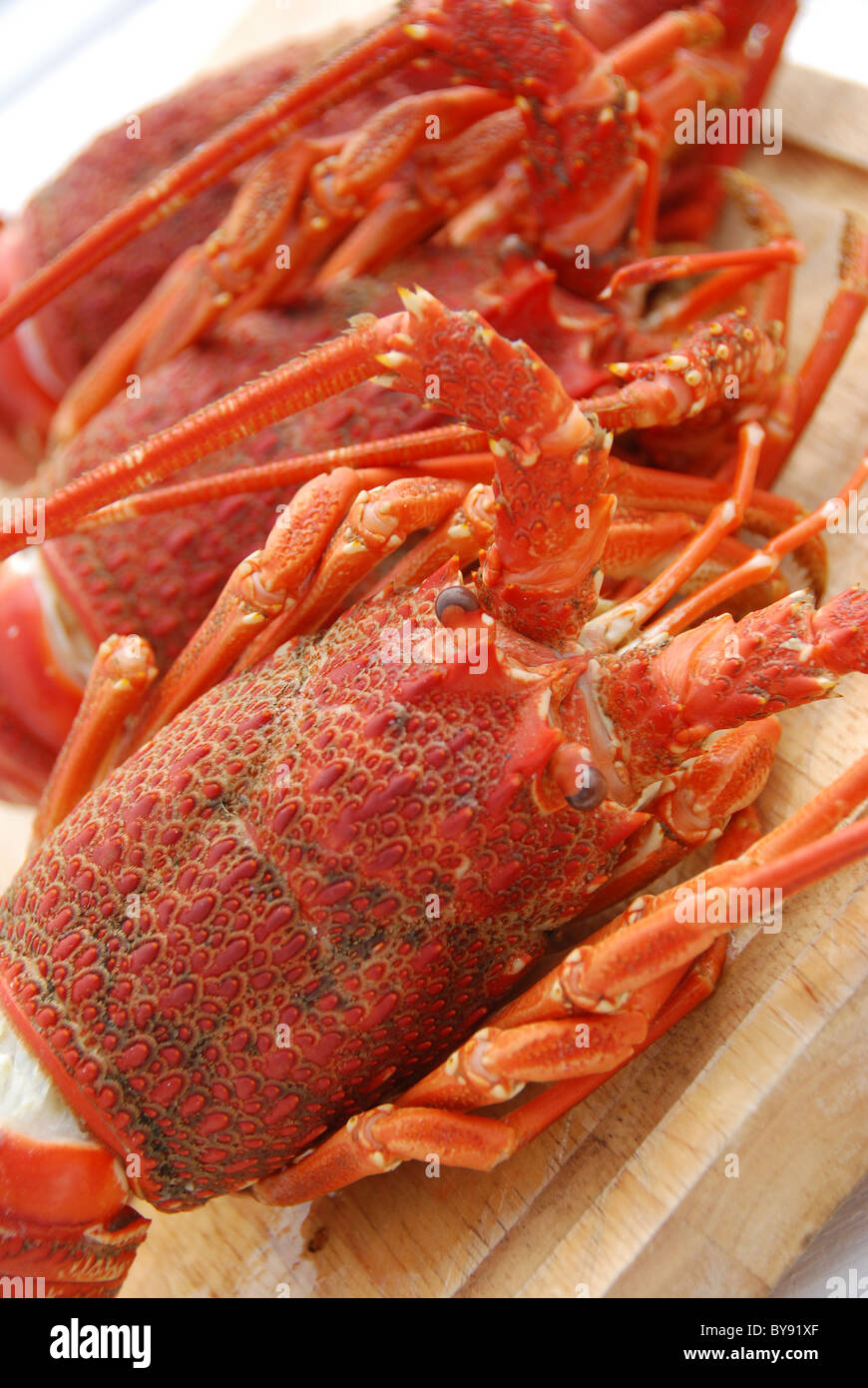 Crayfish shell hi-res stock photography and images - Alamy