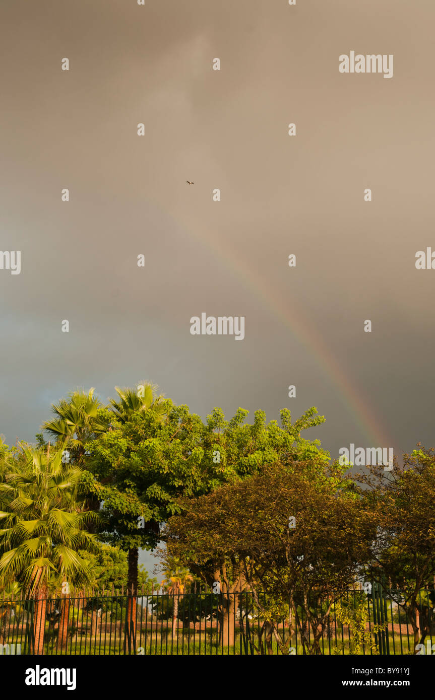 Rainbow over garden hi-res stock photography and images - Alamy