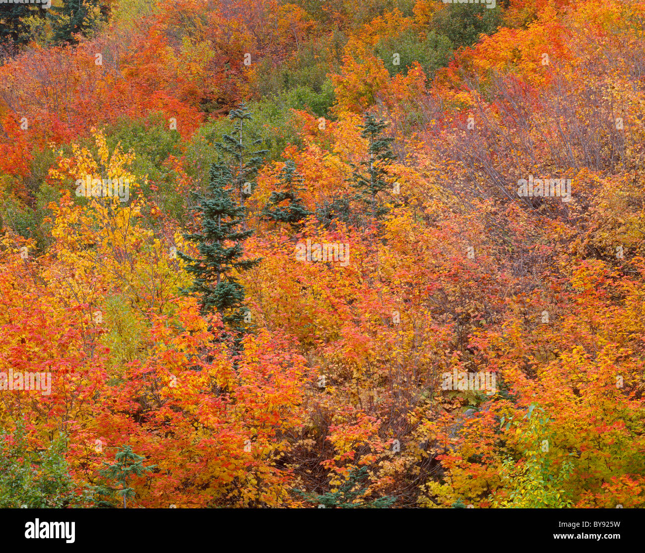 Snoqualmie pass to stevens pass hi-res stock photography and images - Alamy