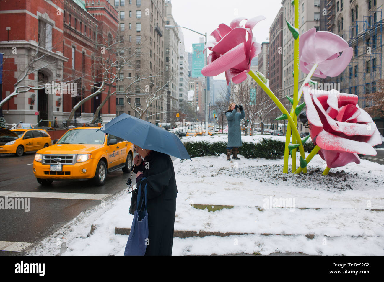 "Roses" by the artist Will Ryman is seen on a snowy Tuesday, January 25 ...