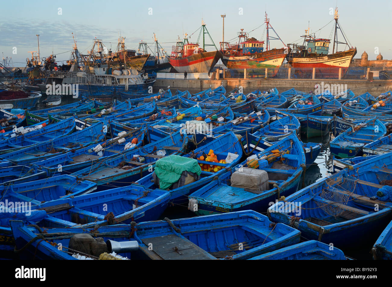 Sea of blue boats at sunrise in the marine port of Essaouira Morocco ...