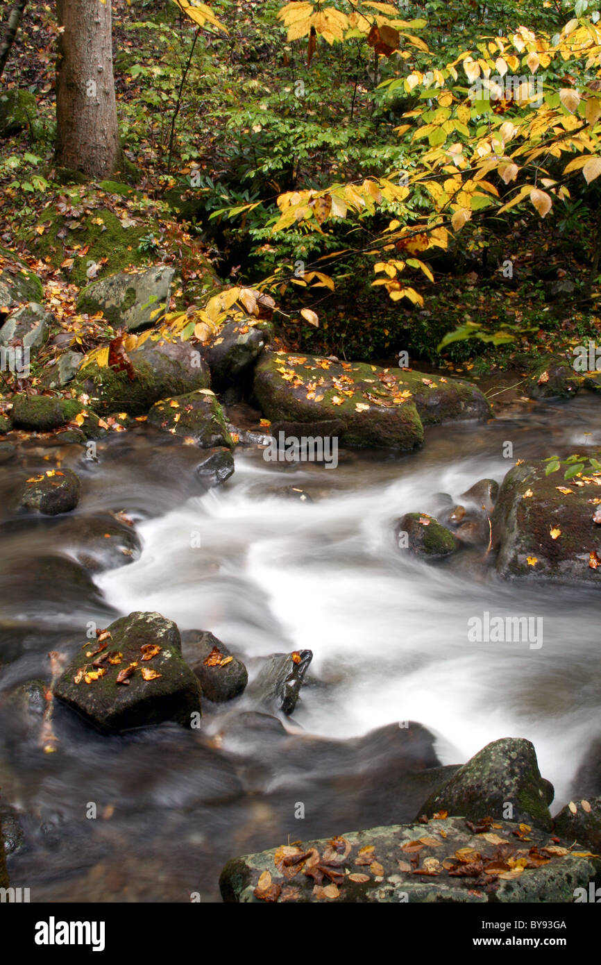 Flowing Water in Roaring Forks in Great Smoky Mountains National Park ...