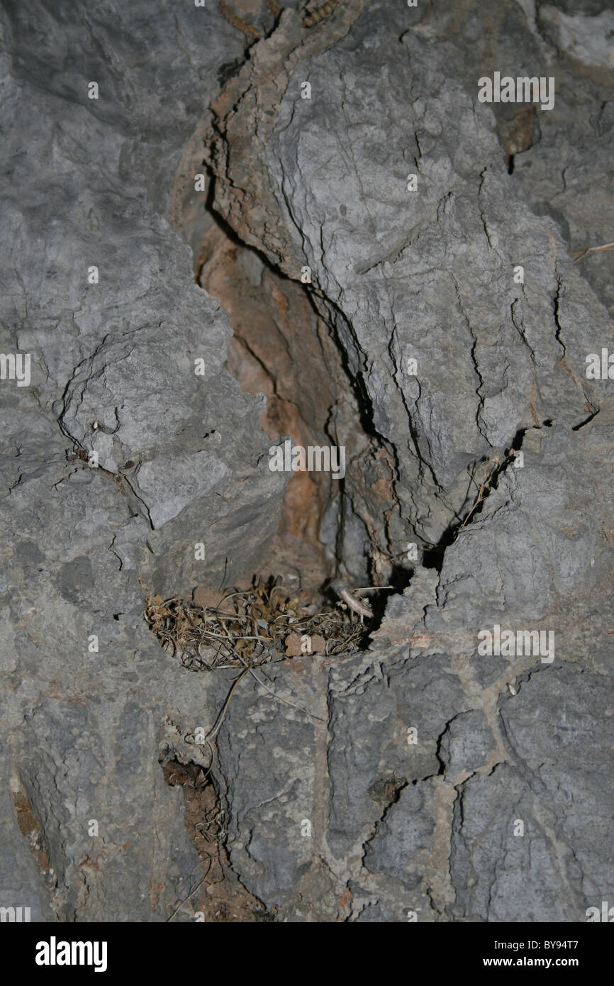 Close up of rocks hi-res stock photography and images - Alamy