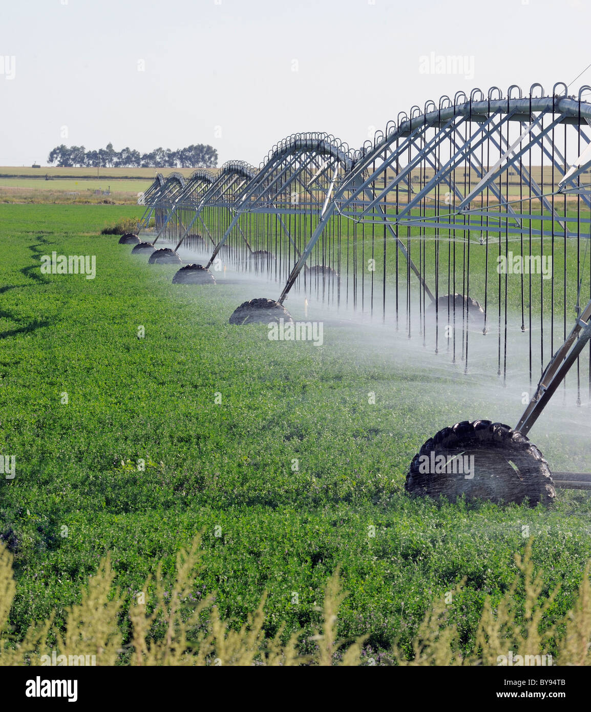 Mobile irrigation machine hi-res stock photography and images - Alamy