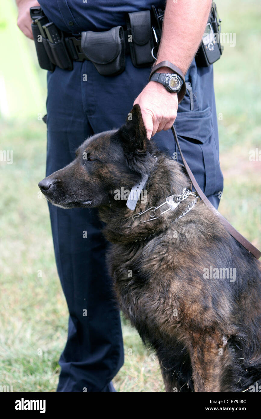 K 9 unit hi-res stock photography and images - Alamy