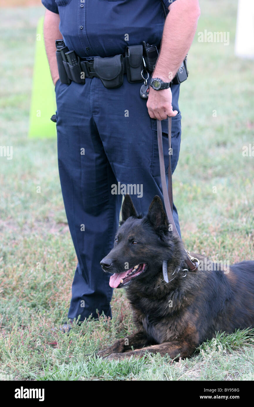 Police dog with human partner at demonstration Stock Photo - Alamy